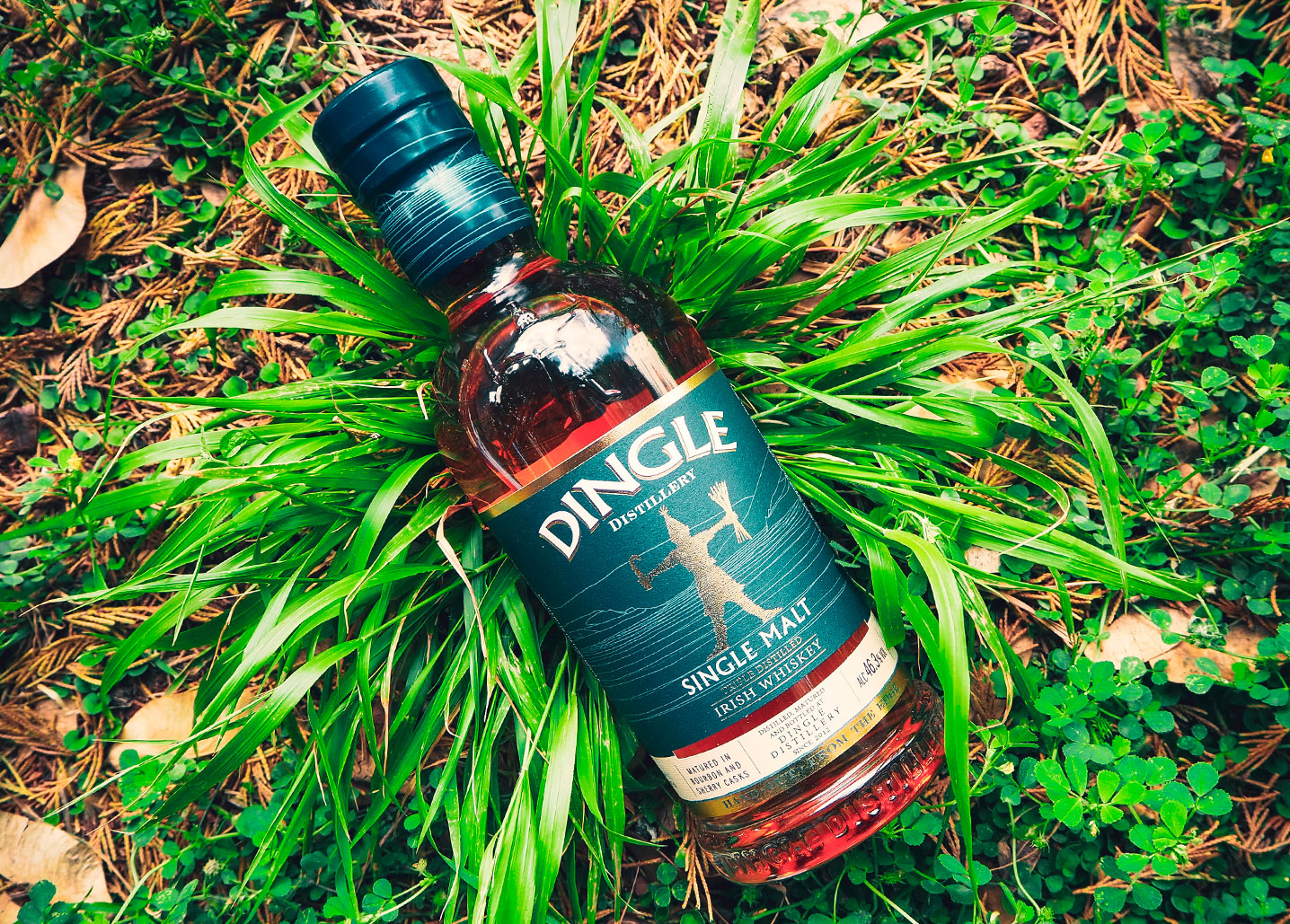 Dingle Single Malt - Todo Whisky